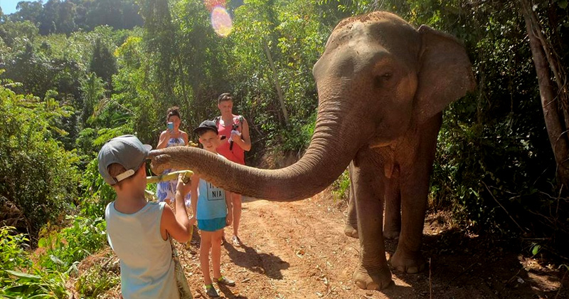 The Map of Phuket:Phuket Nature Reserve - Elephant Habitat